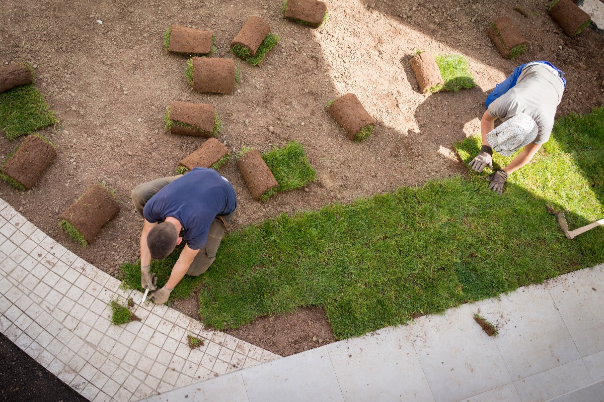 Feel the Breeze: Renovations Ideas for Your Backyard - Engineering on ...