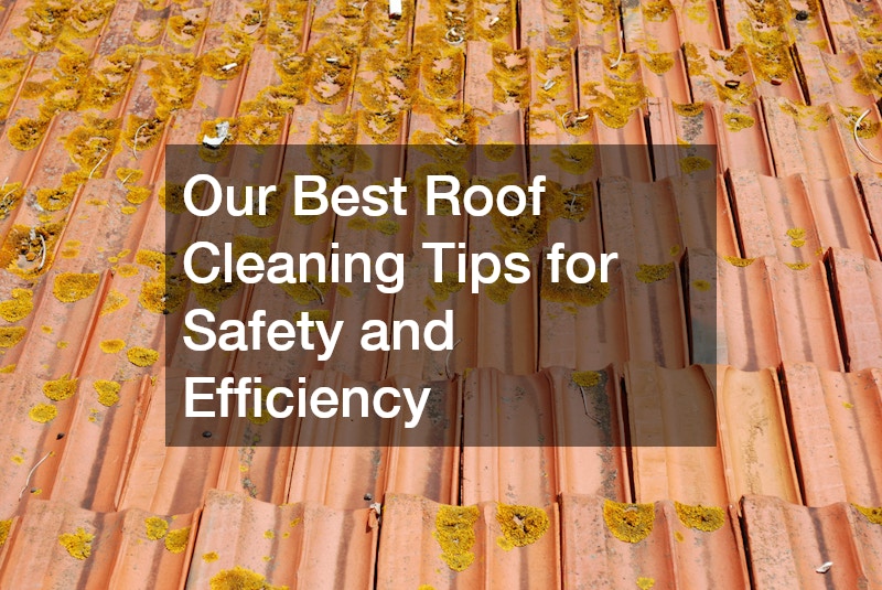 Our Best Roof Cleaning Tips for Safety and Efficiency - Engineering on ...